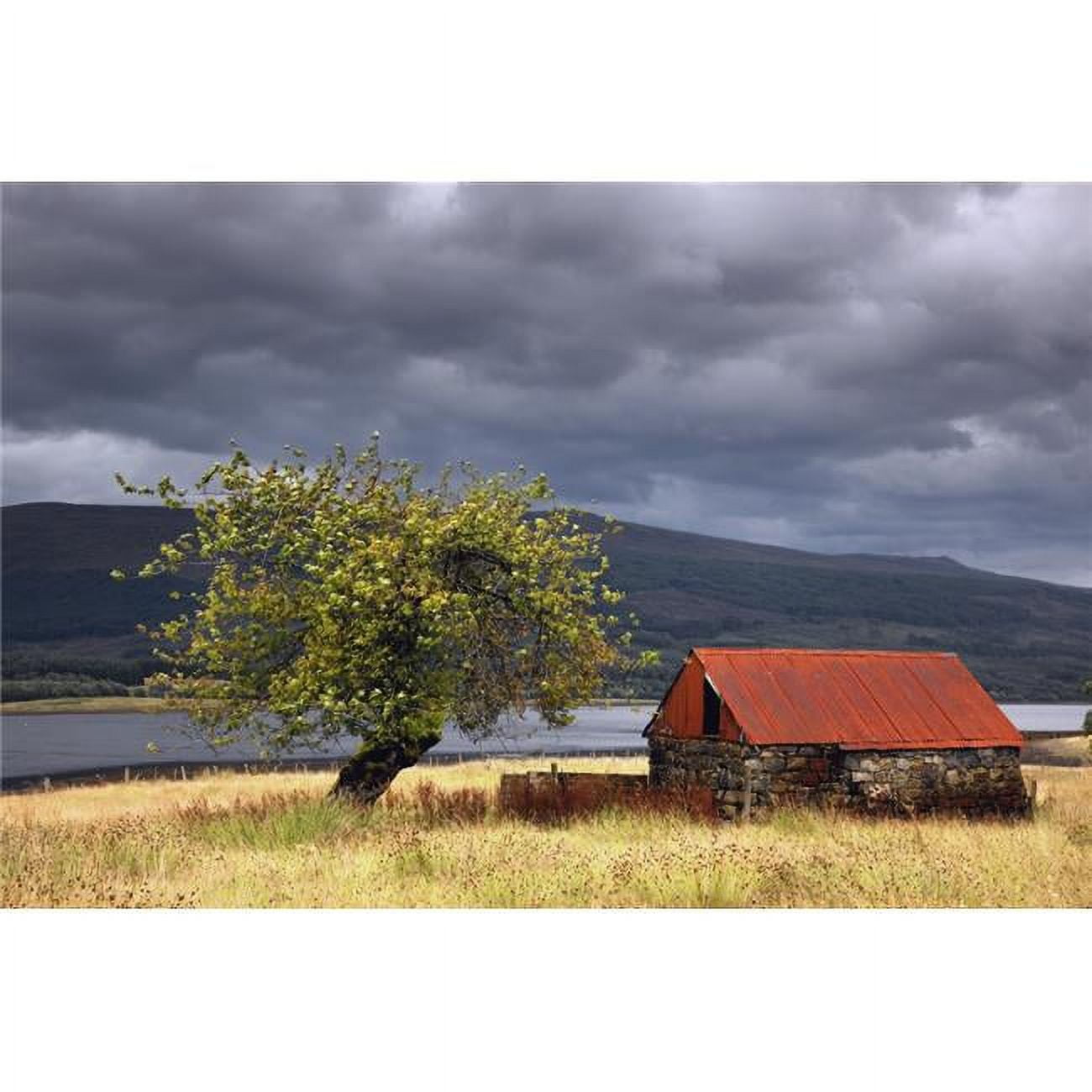 Shack In A Field - Strontian Highland Scotland Poster Print, 38 x 24 ...