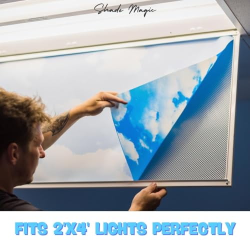 ShadeMAGIC - 4 Pack of Fluorescent Light Covers - 2x4 Film Insert for ...