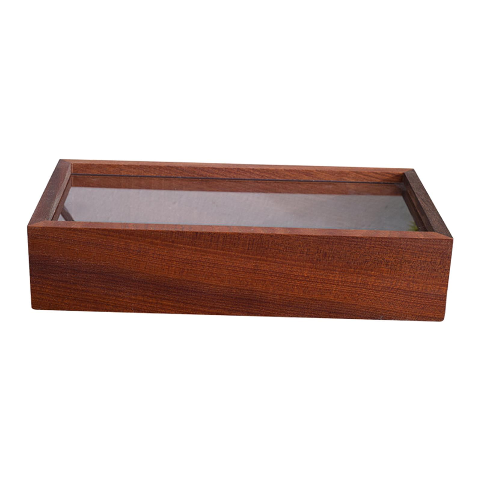 Shadow Box 3D Picture Frame Exhibition Bar Cafe Decor Transparent with ...
