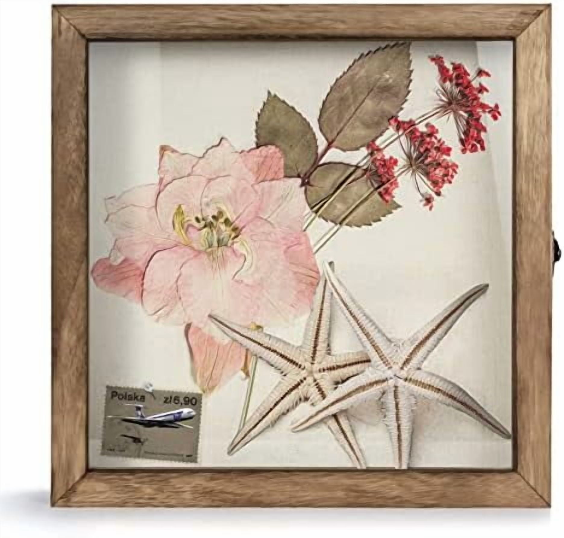 Shadow Box Display Case 12 x 12 Flowers Shadow Box Frame with Glass ...