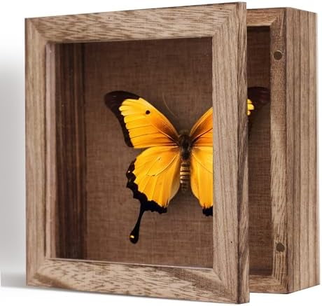 Shadow Box Frame 11x13, Depth 5in Shadow Boxes Display Cases, Rustic ...