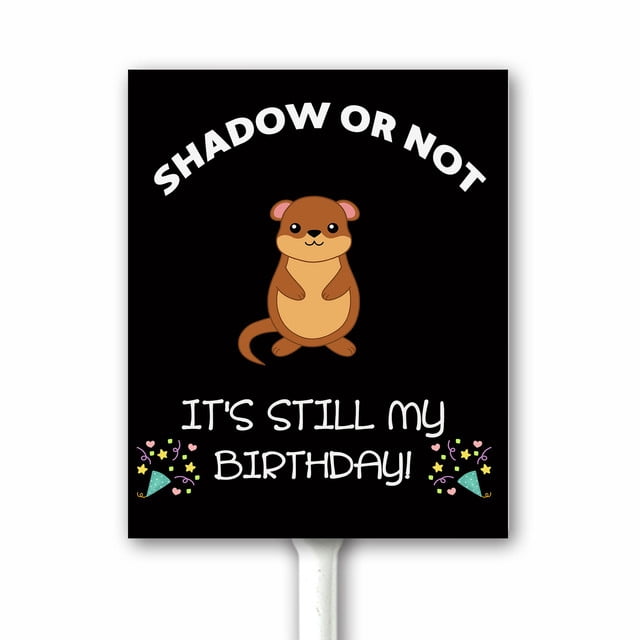 Shadow Or Not It is Still My Birthday Funny Groundhog Day Outdoor Decor ...