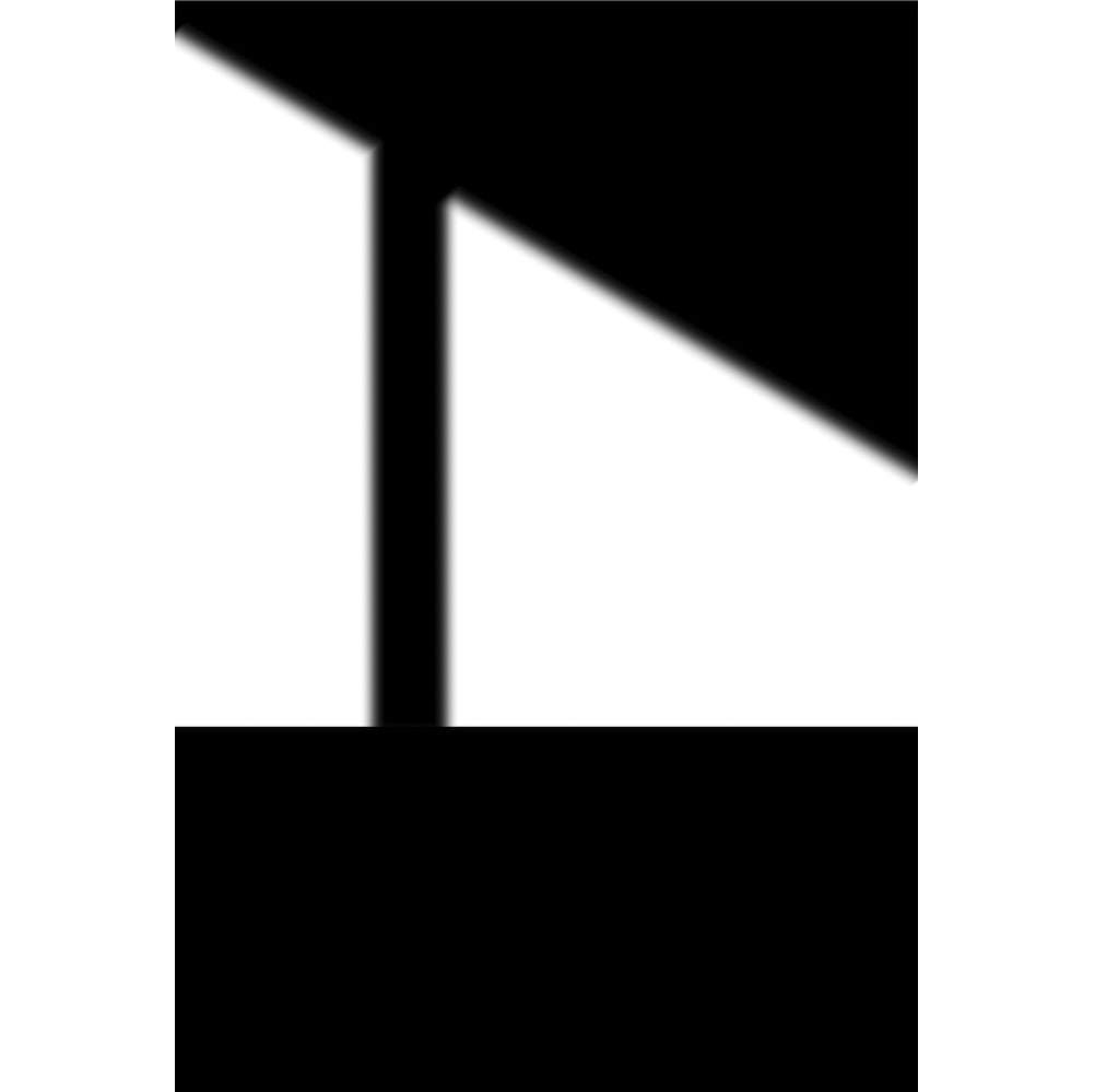 Shadow Photography Backdrops Window Flower Leaf Shadow Sunshine Wedding ...