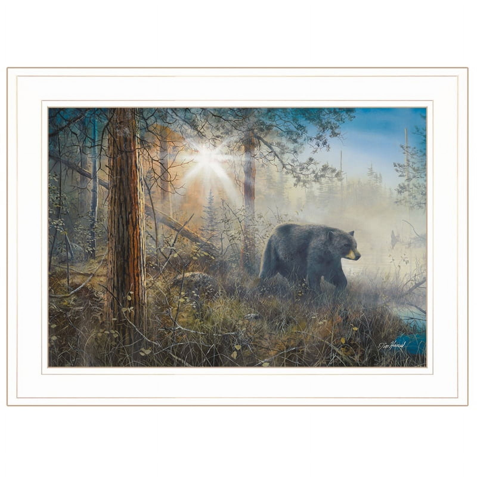 Shadow in the Mist Collection By Jim Hansen Printed Wall Art Wood Multi ...
