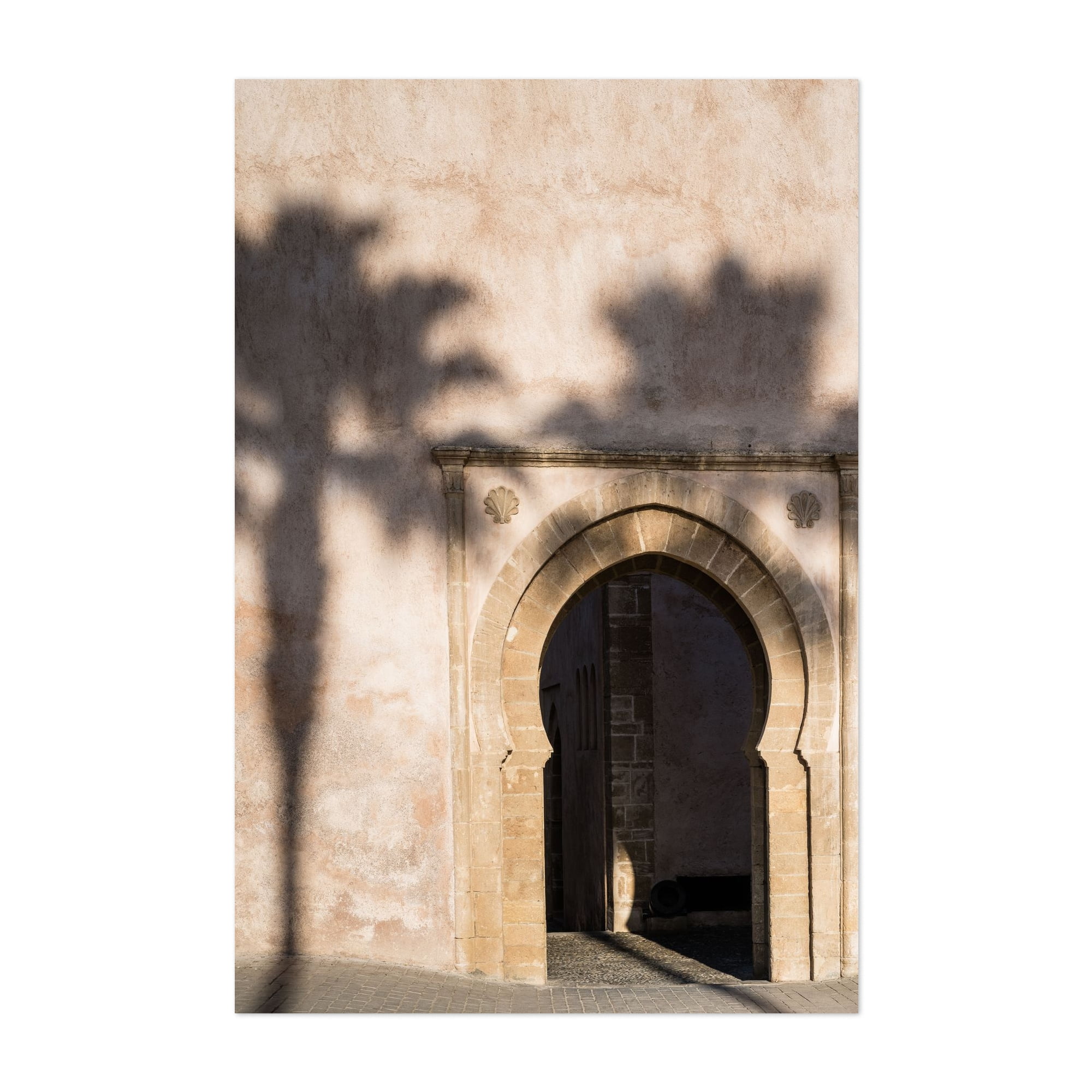 Shadow of a palm tree on the wall in Rabat - Rabat Rabat-Salé-Kénitra ...
