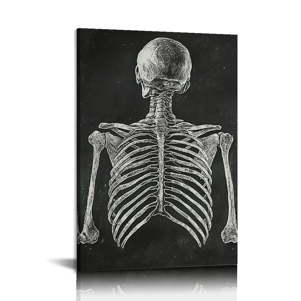 Shadudu Skeleton Anatomy Print On Canvas Wall Art 24x36 inches 24x36in ...