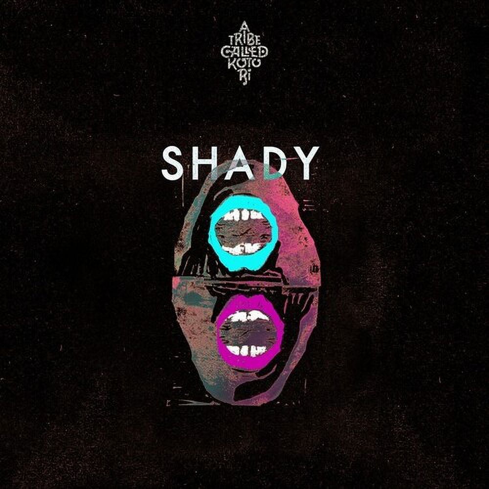 Shady - Shady - Music & Performance - Vinyl - Walmart.com