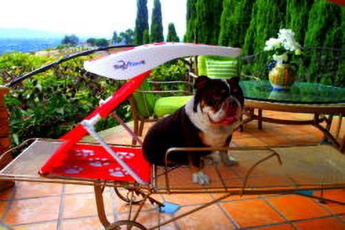 ShadyPaws Canopies - Walmart.com