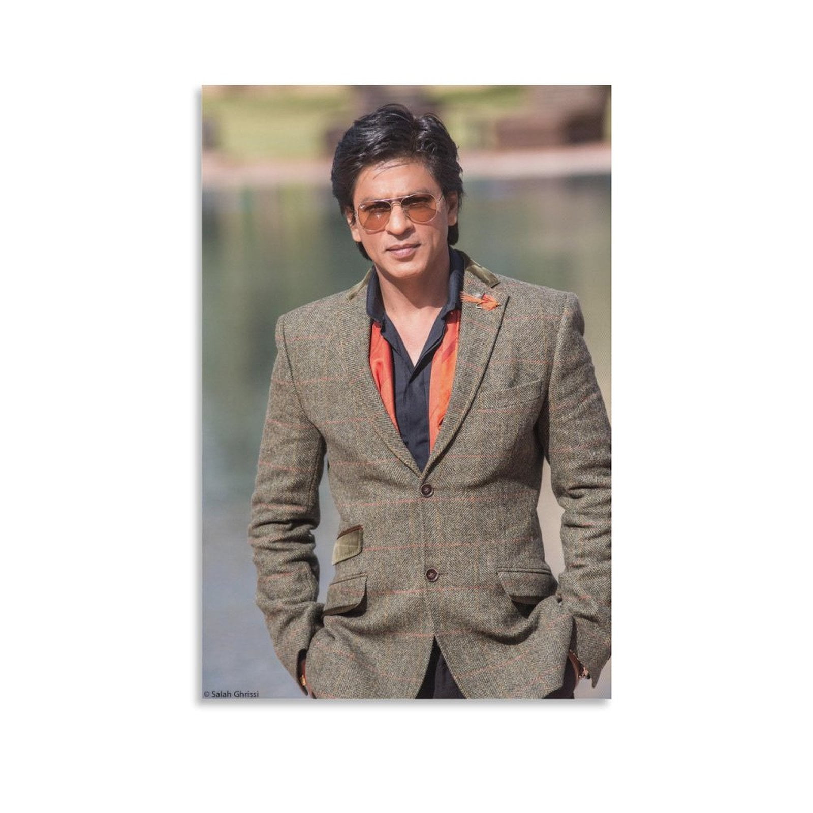 Shahrukh Khan Poster Famous Actor India Gifts Canvas Painting Poster ...