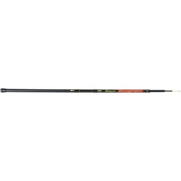 Shakespeare Durango Spinning Fishing Rod - Walmart.com