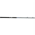 Shakespeare Tidewater® Spinning Rod, 12' Medium Fishing Rod, 2 Piece ...
