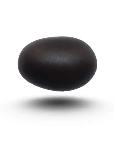 Shaligram Shila | Nepal Gandaki River Saligram Stone | Original ...