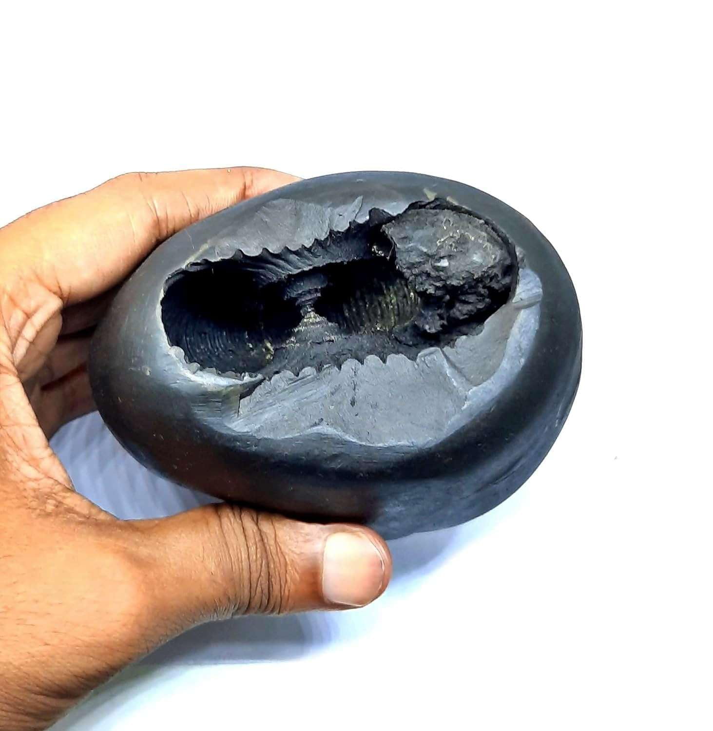 Shaligram Stone LakshmiNarsimha ji Nepal Gandaki River Chakra Saligram ...