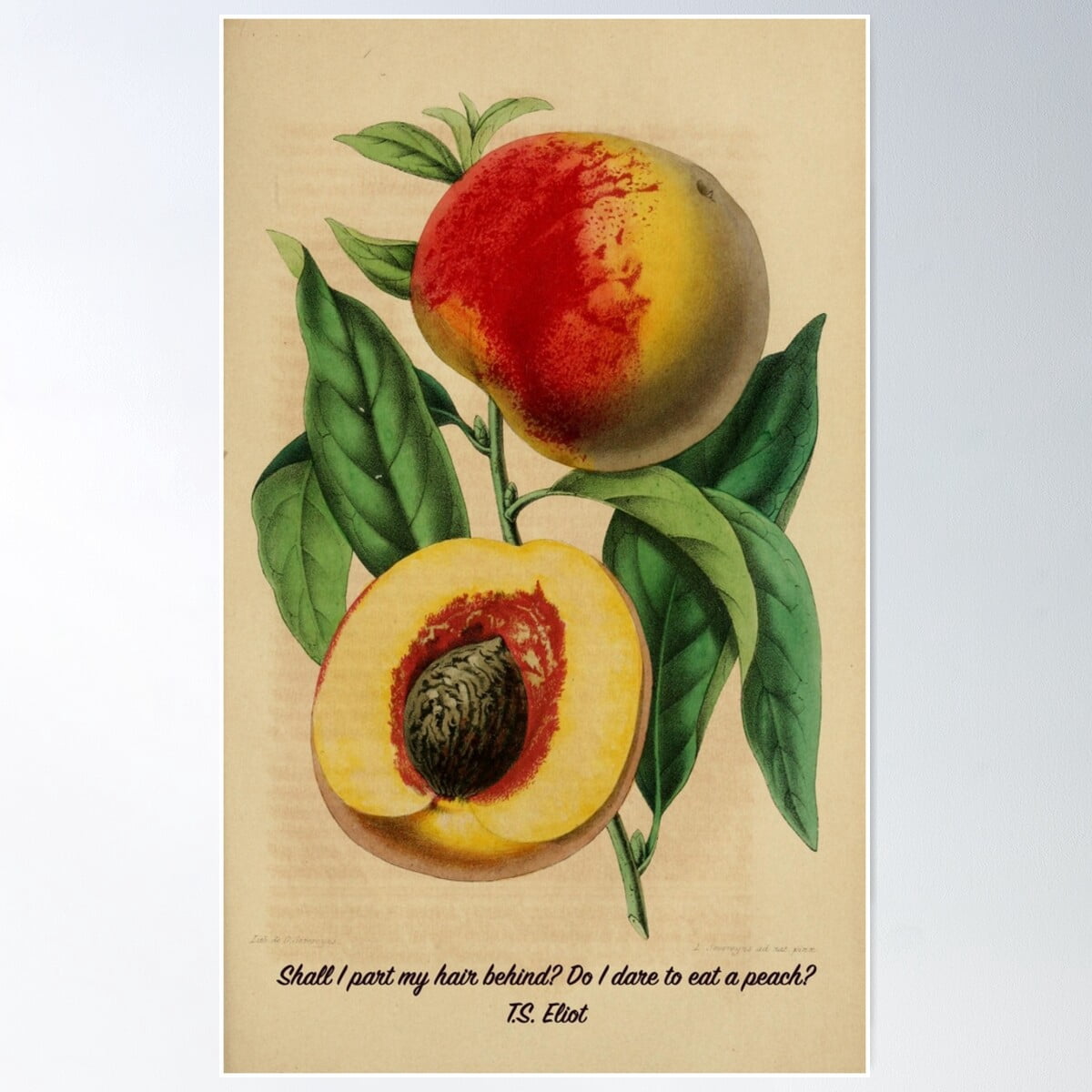 Shall I Part My Hair Behind? Shall I Dare To Eat A Peach? T.S. Eliot ...