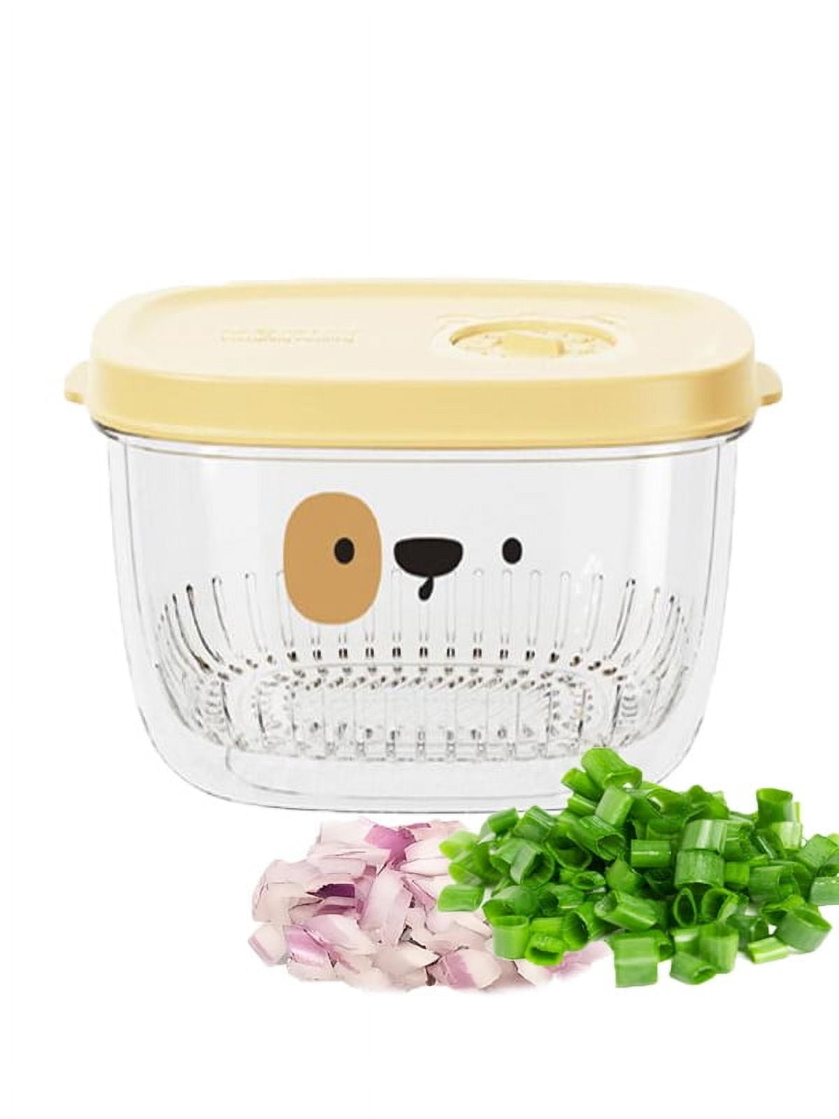 Shallots Ginger Garlic Storage Box Refrigerator Special Food-grade ...