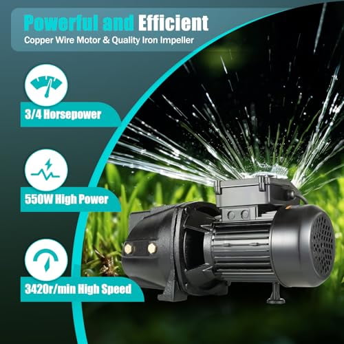 Shallow/Deep Well Jet Pump, 3/4 HP Cast Iron Shallow Well Jet Pump with ...