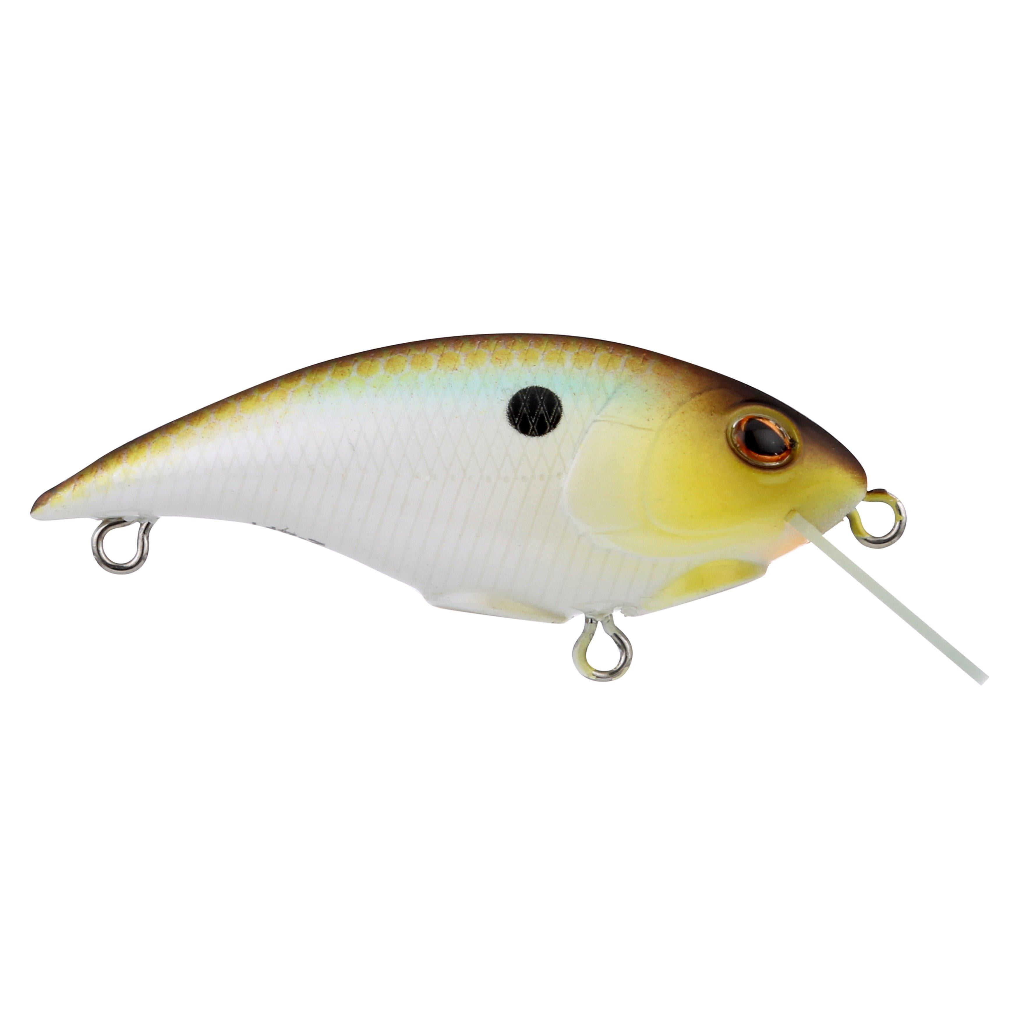 Berkley Shallow Money Badger Fishing Crankbait, 2.1 in, Hybrid Baitfish ...