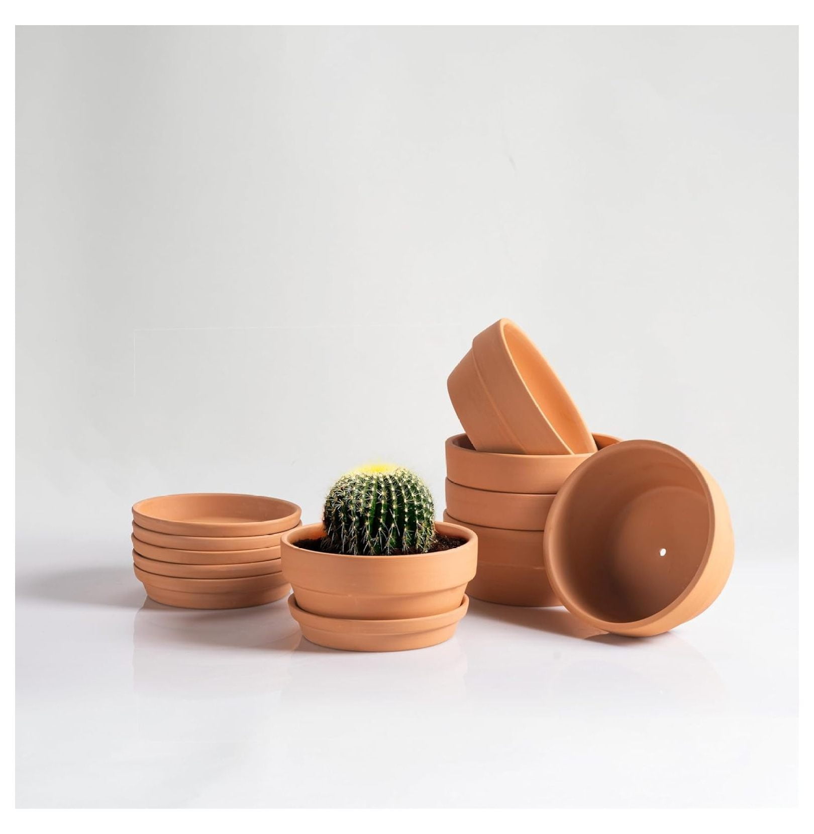 Shallow Terracotta Pots 5 inch, Pack of 6 Clay Pots for Plants with ...