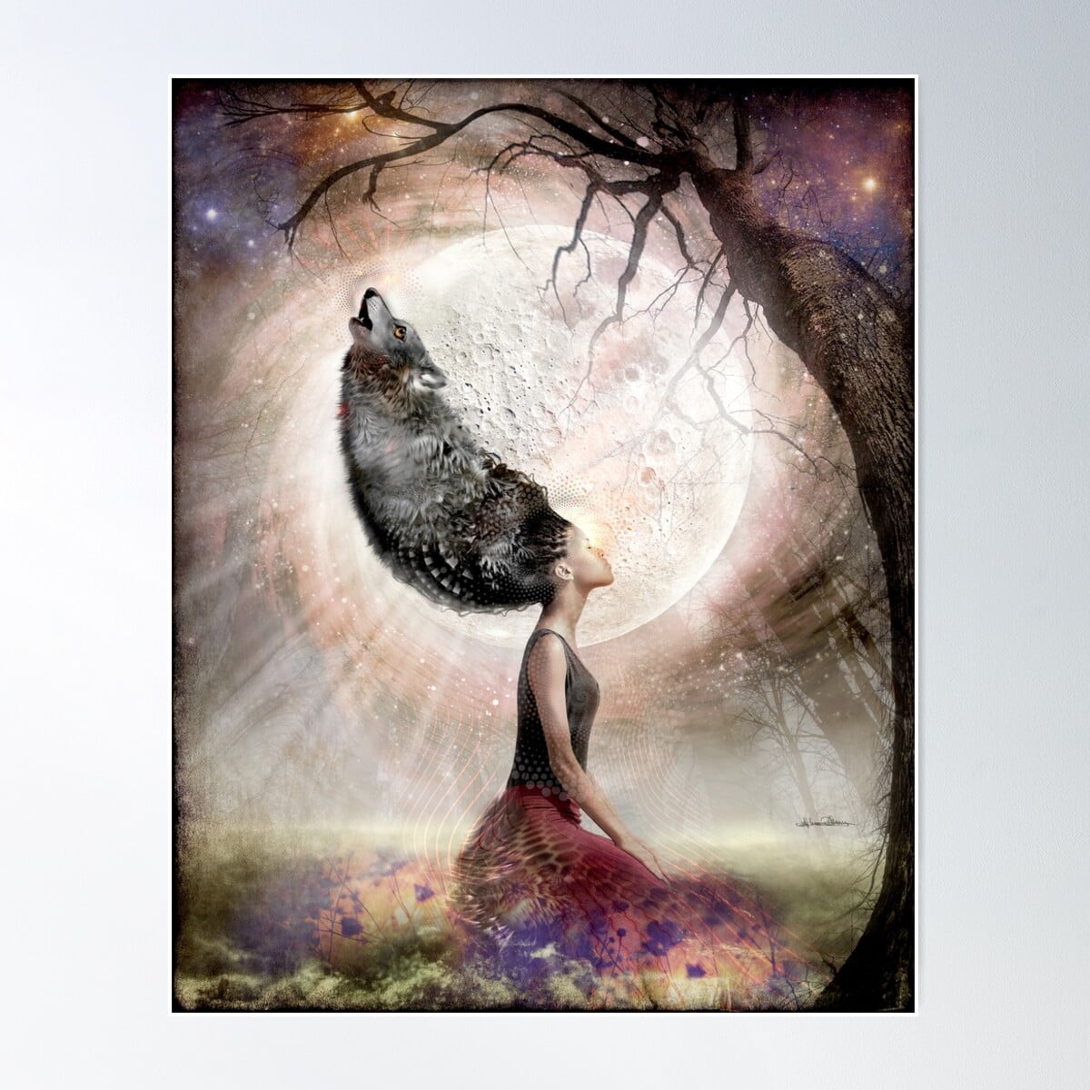 Shamanic Calling Wolf Werewolf Soul Awakening Spiritual Visionary ...
