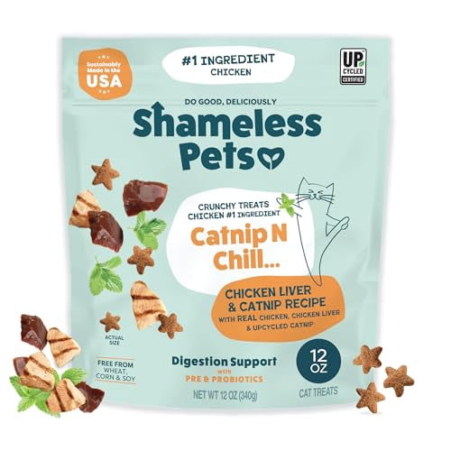 Shameless Pets Crunchy Cat Treats - Catnip Treats for Cats with ...