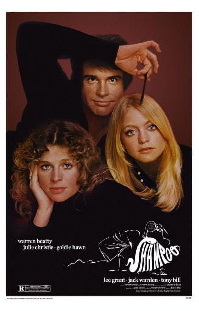 Shampoo Poster Wall Decor Art 27inx40in for any room 27x40 Multi-Color ...