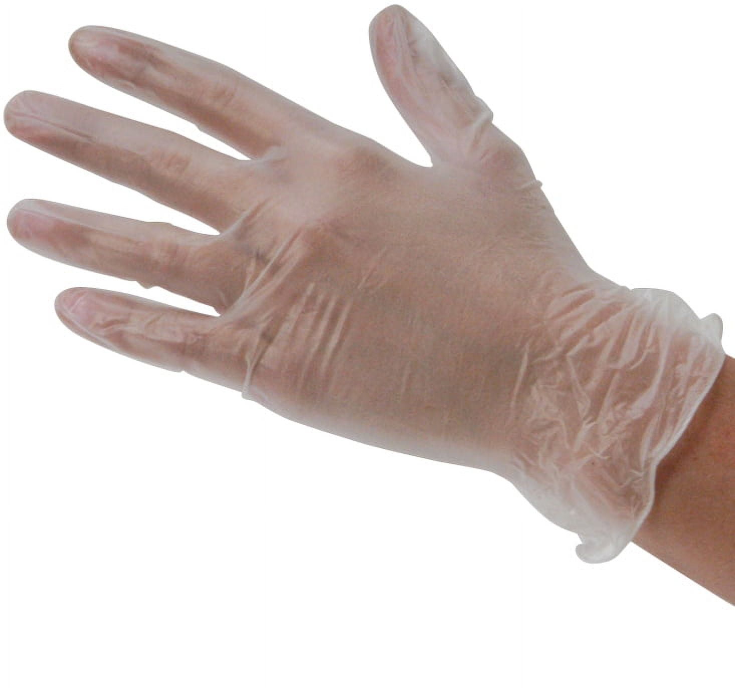 Shamrock Vinyl Clear Powder Free Examination Gloves, 20000 Series ...