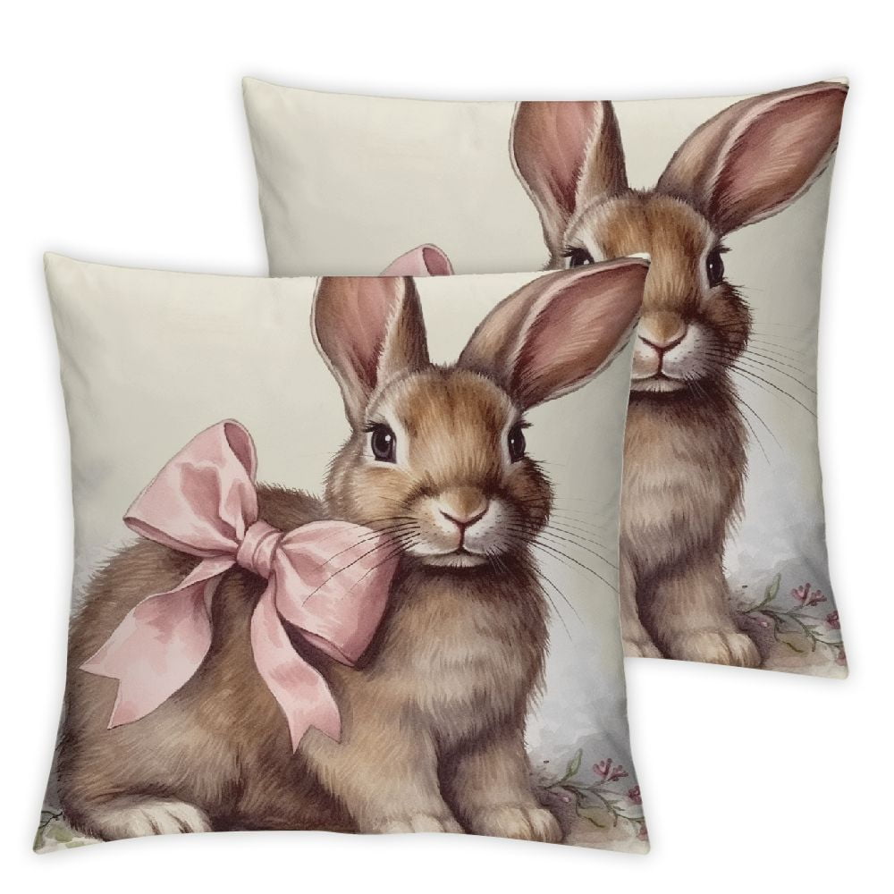 Shangniulu Set of 2 Cute Rabbit Pillow Case Easter Browen Bunny with ...