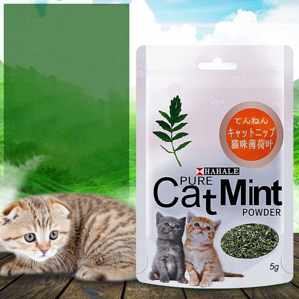 Shangqer 5g/Pack Cat Mint Powder Natural Catnip Pet Kitten Mouth ...