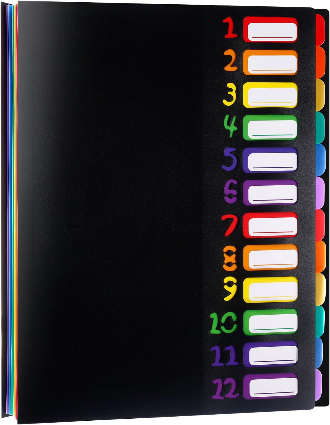 Shappy 12 Pocket Expanding File Folder with Rainbow File Folders ...