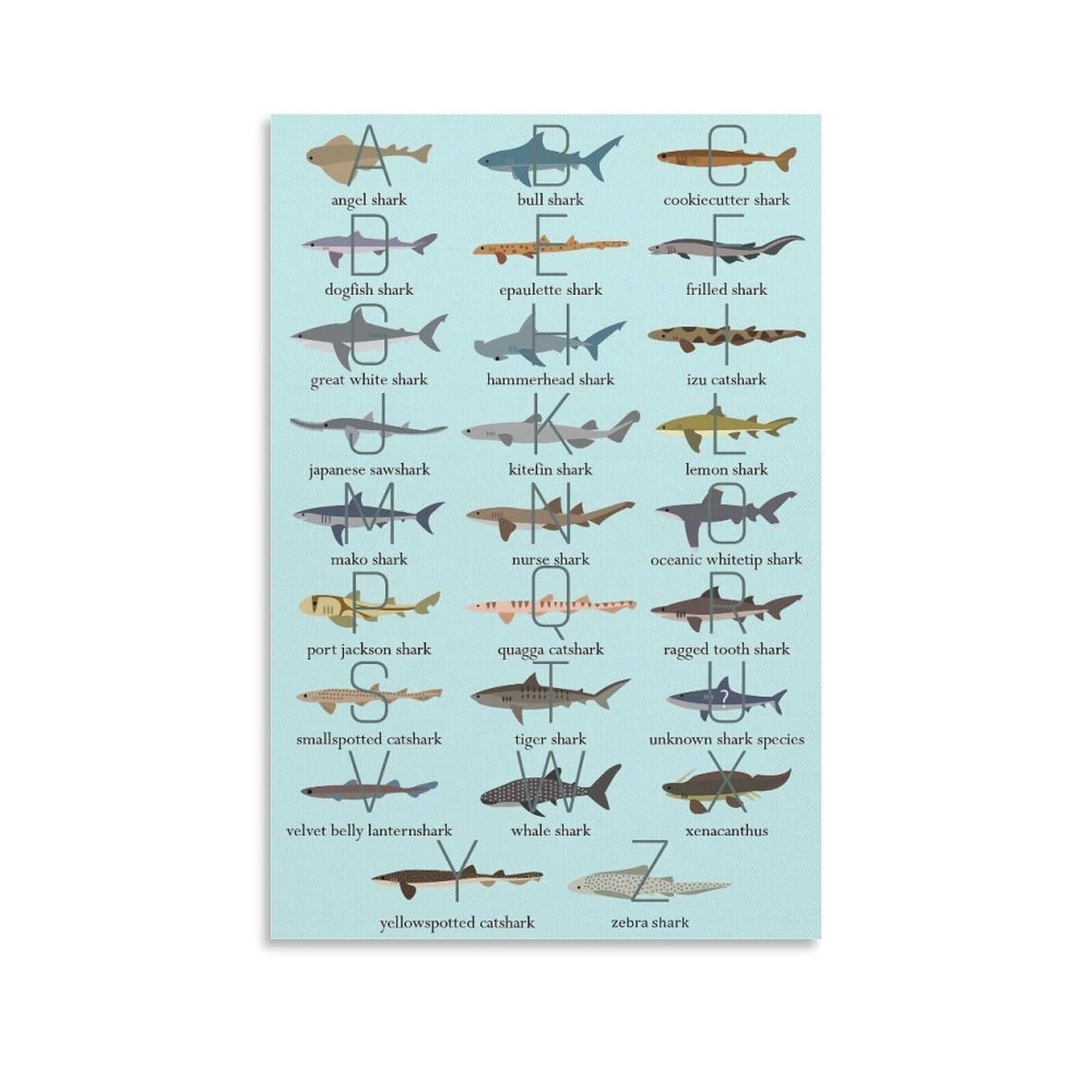 Shark Alphabet Poster for Kids Shark Poster - Walmart.com