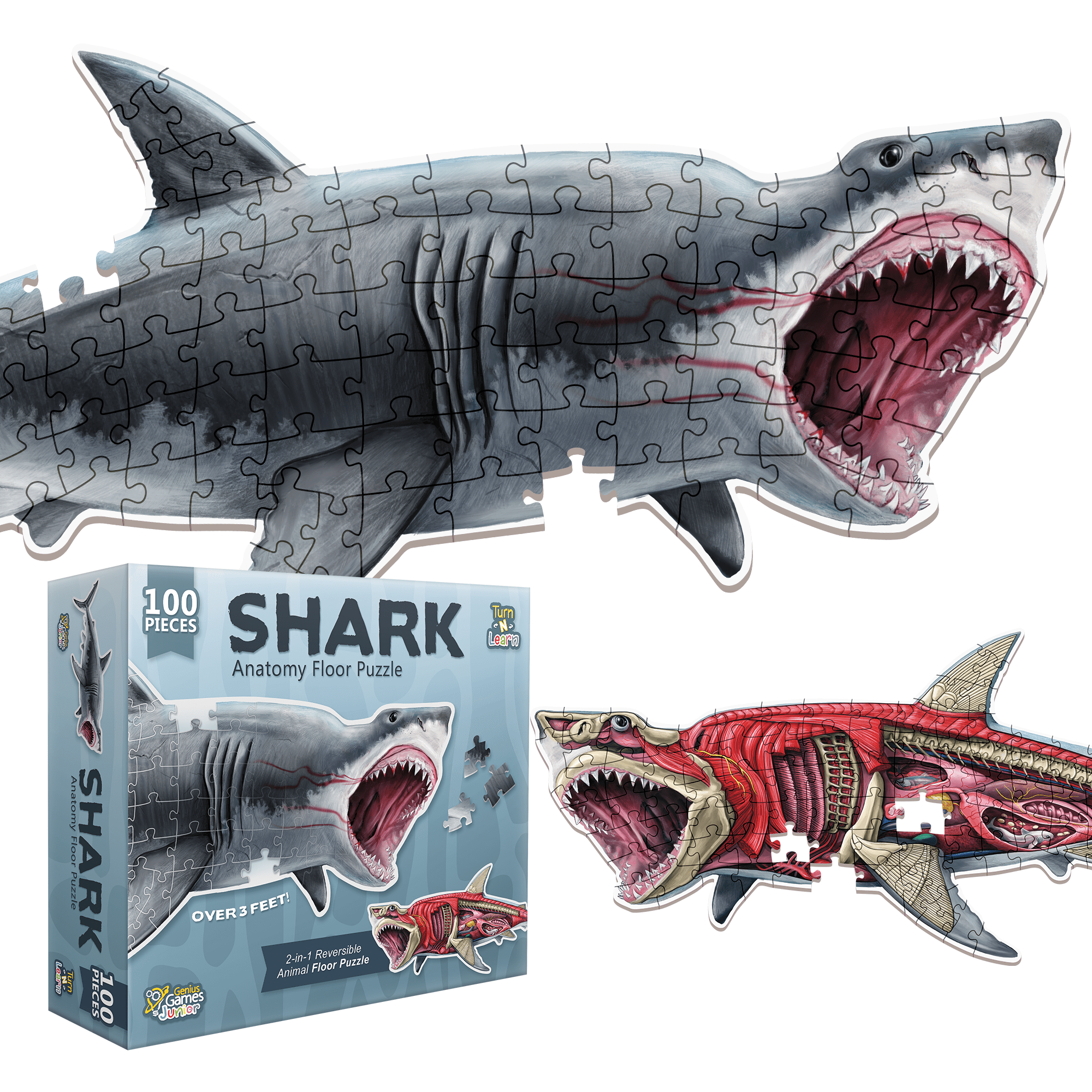 Shark Animal Anatomy Floor Puzzle | 100-Piece Double Sided Jigsaw ...