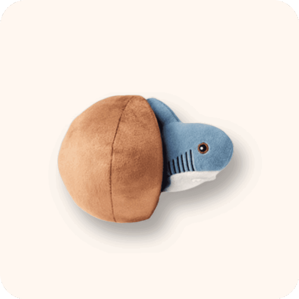 Shark Ball Plush Toys - Limited Edition, 9.8" Unique Design Shark ...