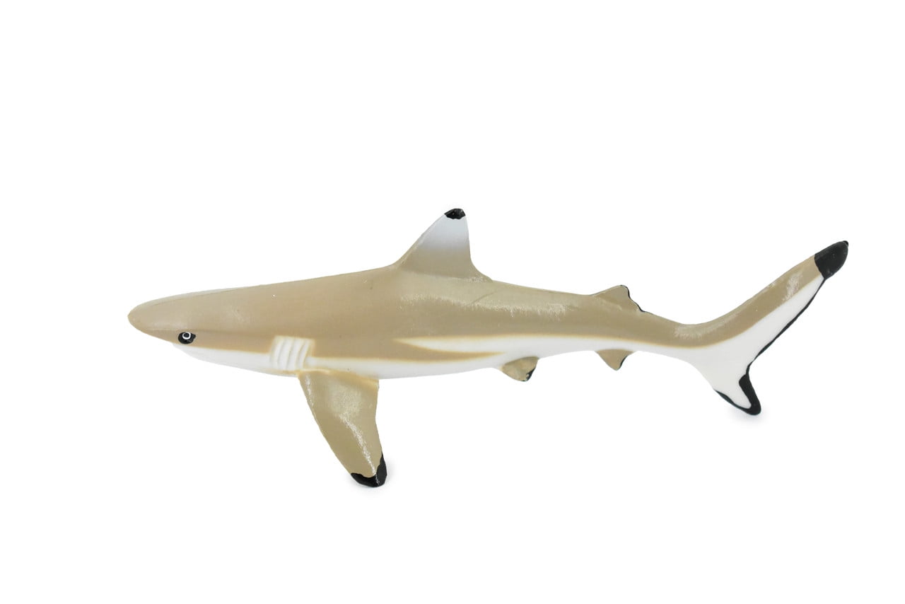 Shark, Black Tip Reef Shark, Museum Quality, Hand Painted, Rubber Fish ...
