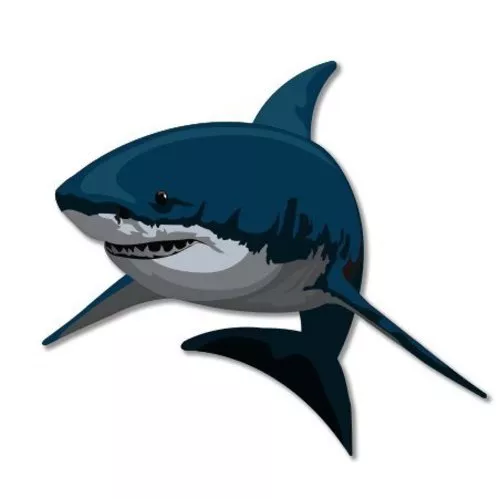 Shark Blue Car Sticker Phone Decal Water Bottle Stickers Car Decals ...