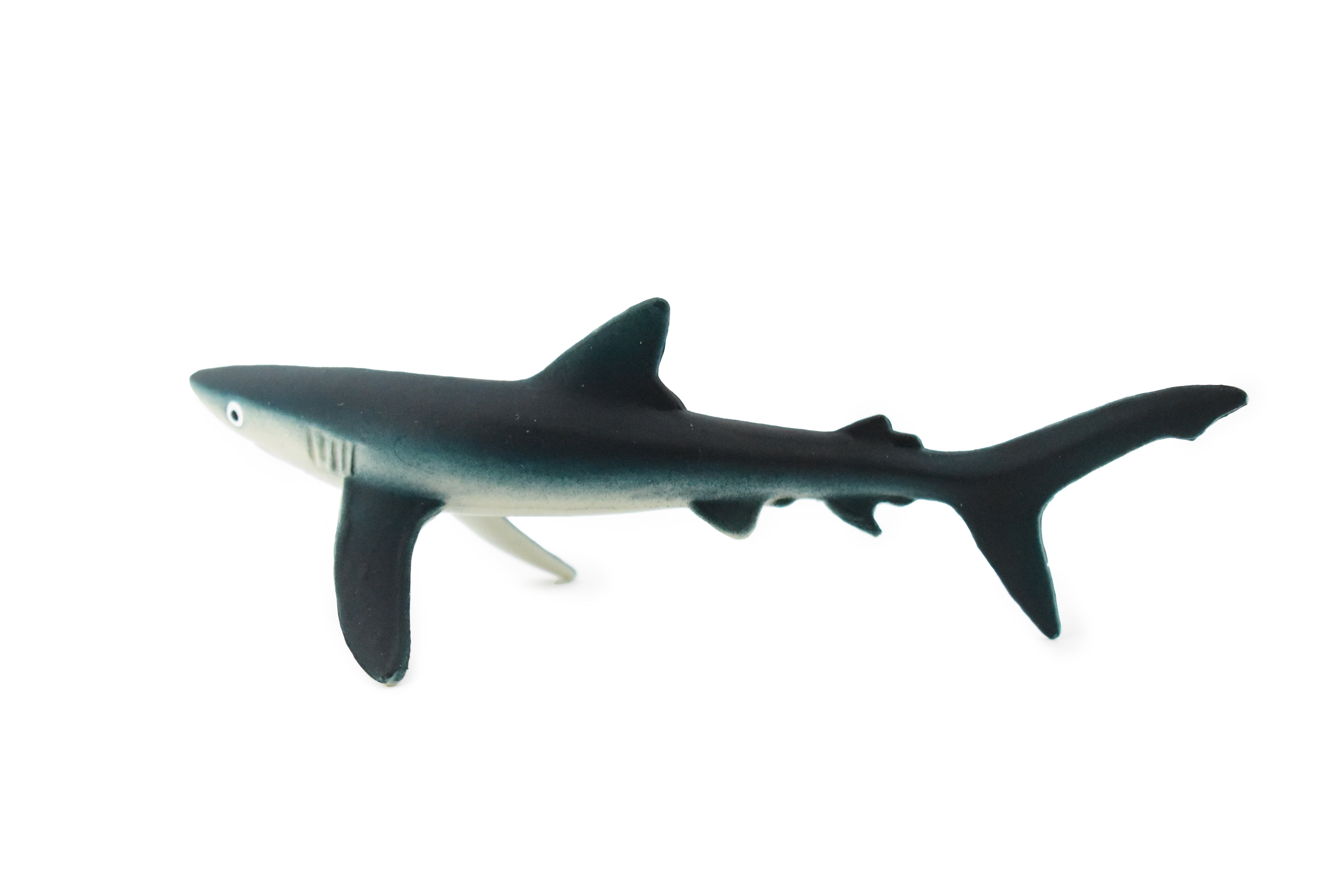 Shark, Blue Shark, Hand Painted, Rubber Fish, Realistic Toy Figure ...