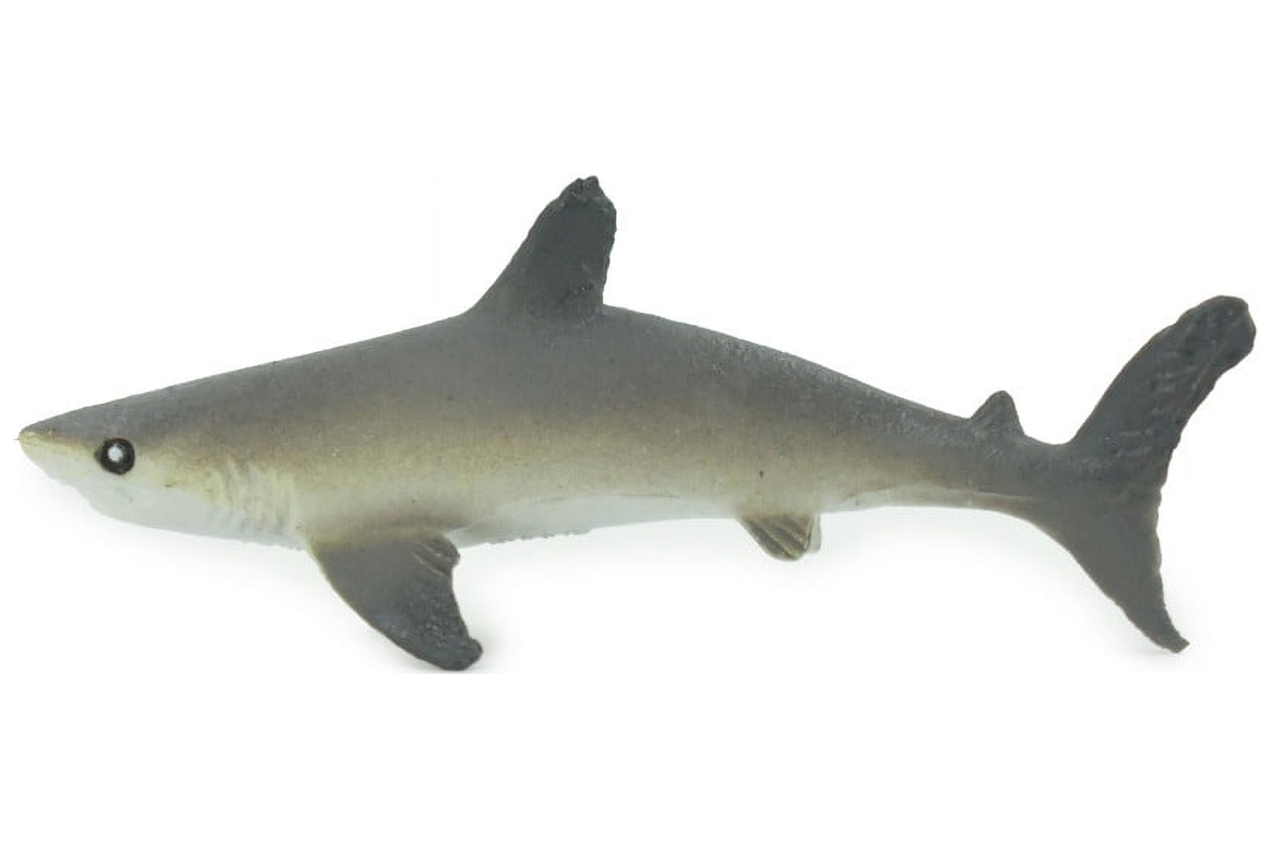Shark, Bull Shark, High Quality, Rubber Fish, Hand Painted, Realistic ...