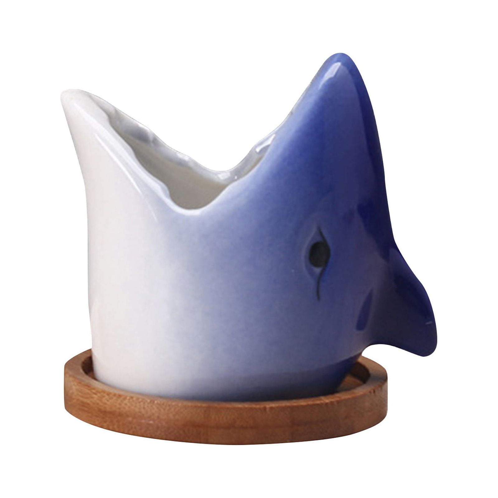 Shark Cactus Cartoon Ceramic Flowerpot - for Small Plants, with Drain ...