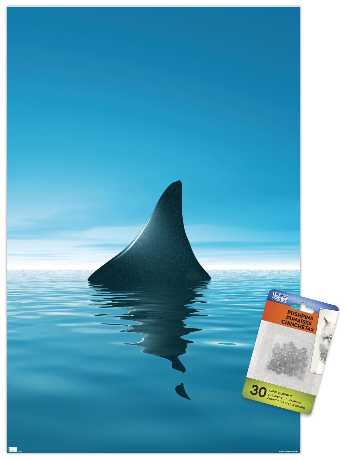 Shark - Day Fin Wall Poster with Push Pins, 14.725" x 22.375" - Walmart.com