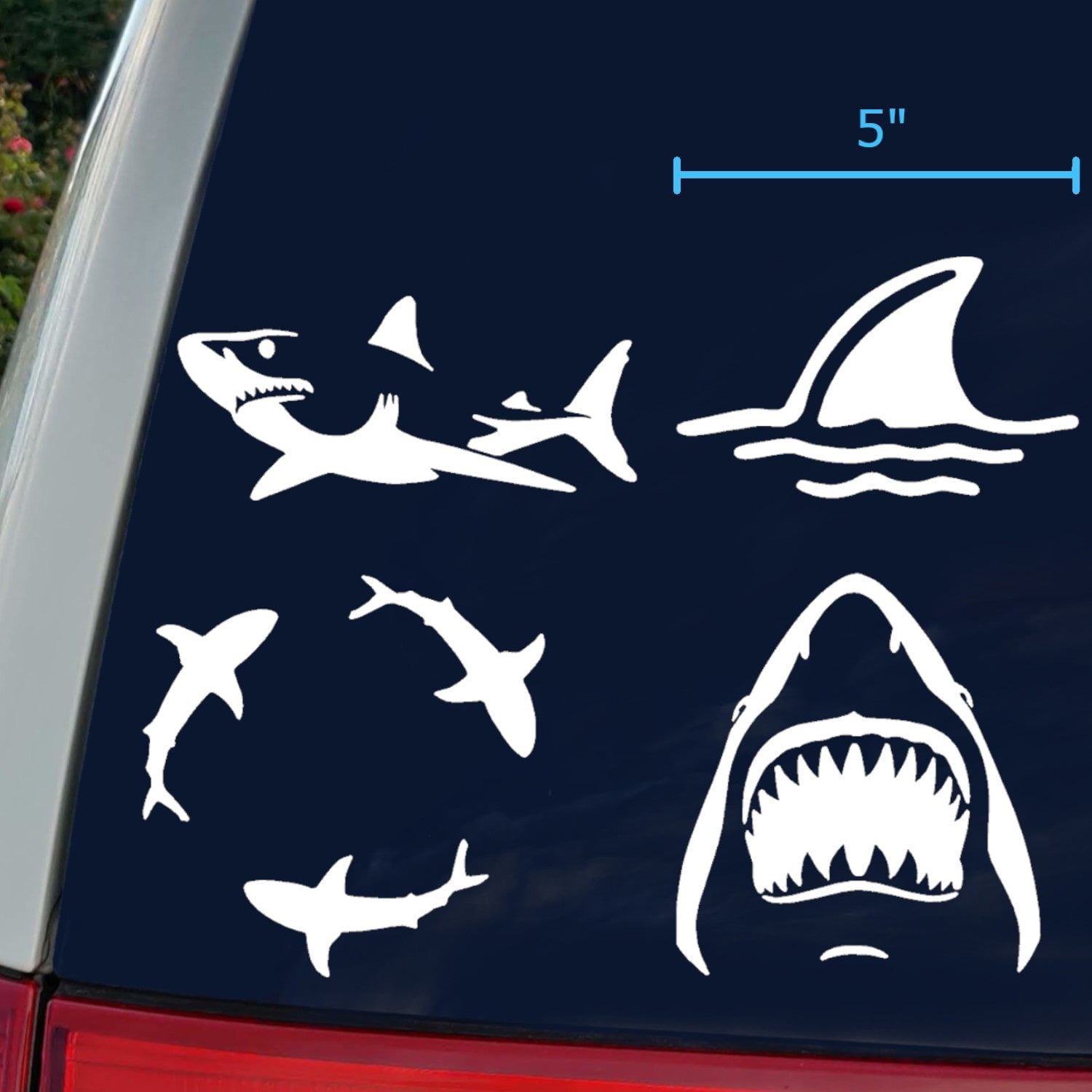 Shark Decals 4 Pack: Detailed Shark, Sharks Circling, Shark Fin, Shark ...