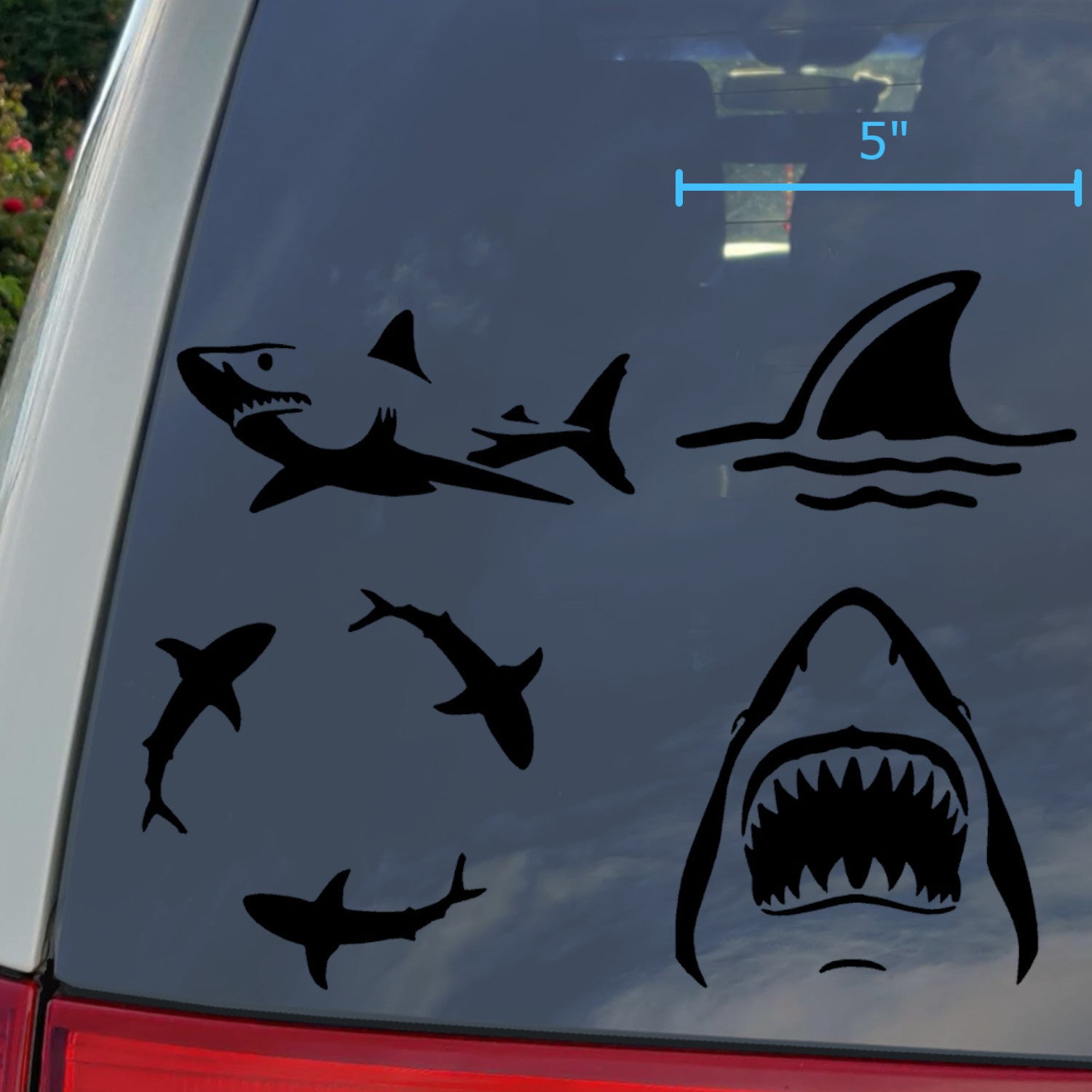 Shark Decals 4 Pack: Detailed Shark, Sharks Circling, Shark Fin, Shark ...