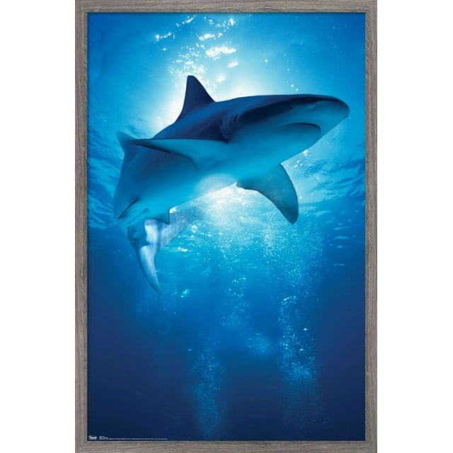 Shark - Depths Wall Poster, 22.375" x 34", Framed - Walmart.com