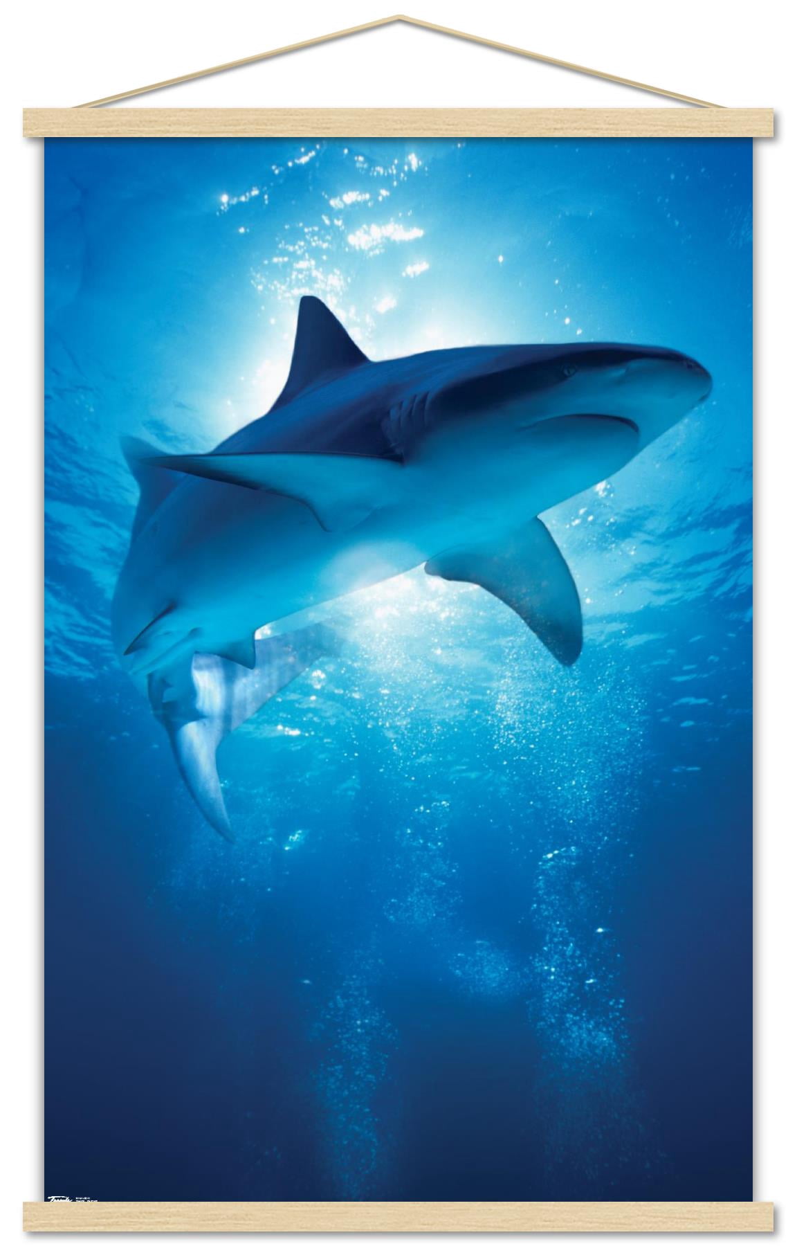 Shark - Depths Wall Poster with Wooden Magnetic Frame, 22.375" x 34 ...