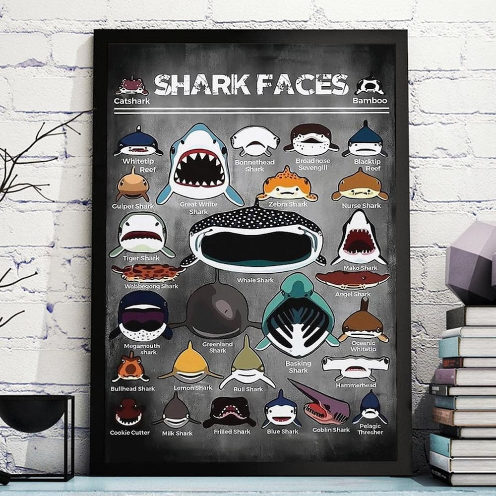 Shark Faces Poster, Types Of Shark Poster, Shark Knowledge Education ...
