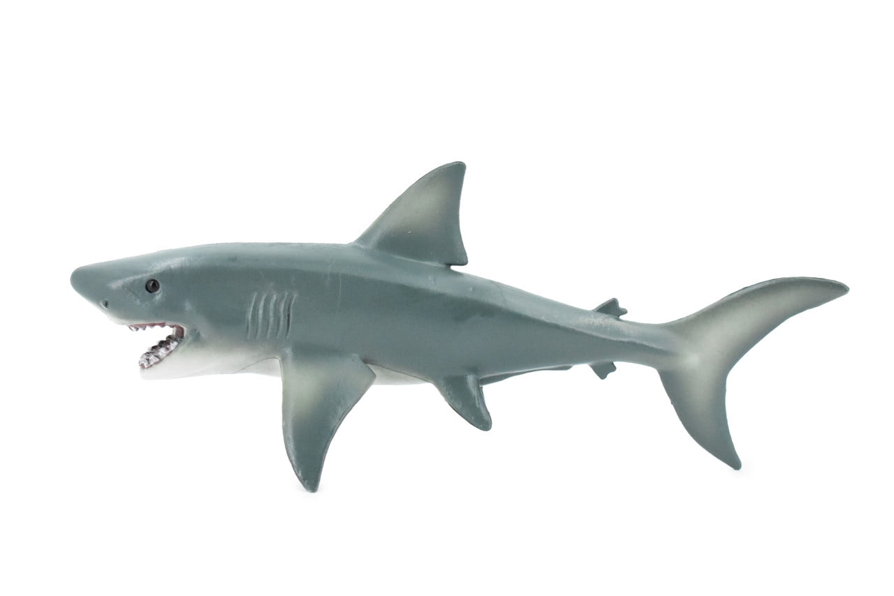 Shark, Megalodon, Big Tooth Shark, Museum Quality, Rubber Fish, Hand ...