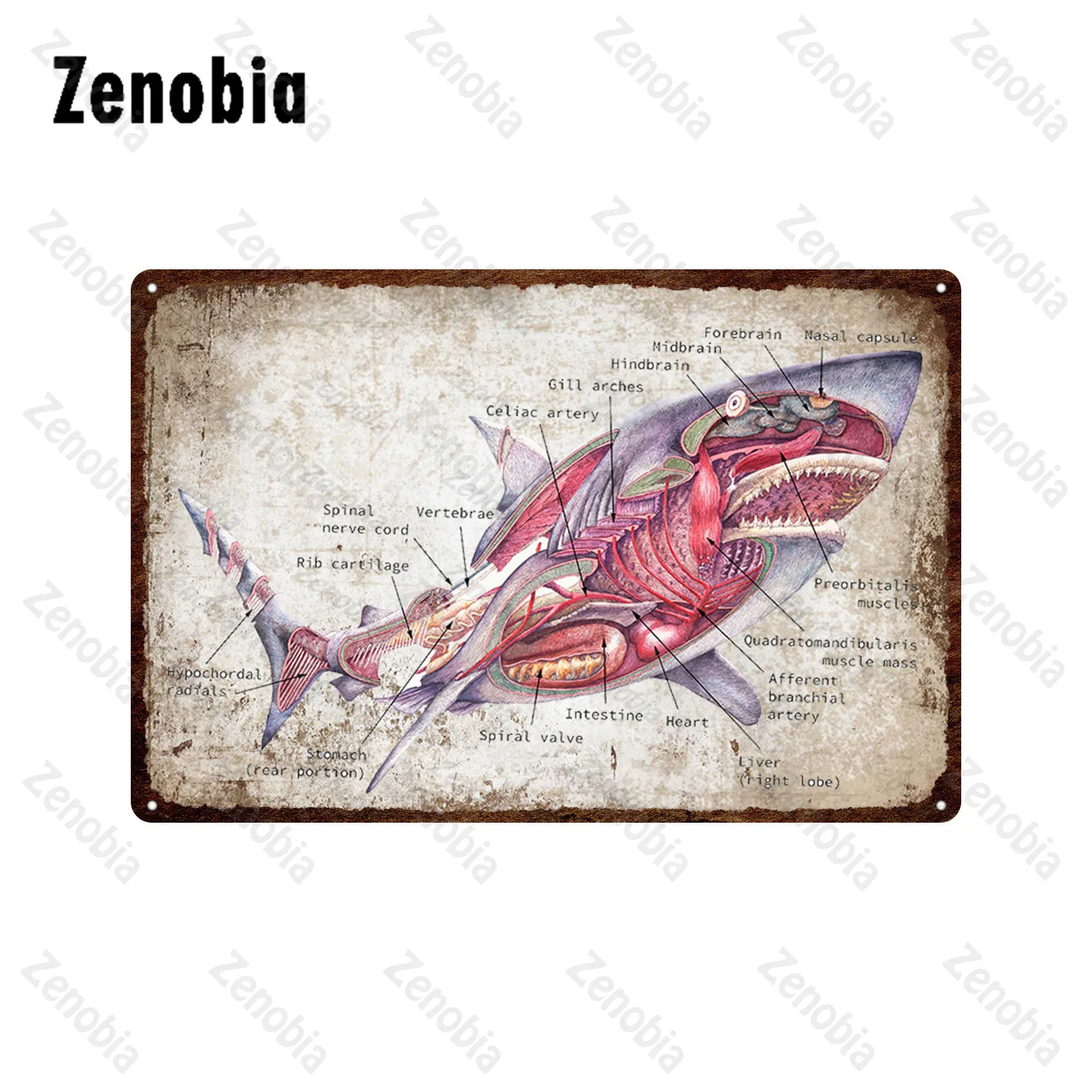 Shark Metal Sign Shark Warning Caution Shark Zone Metal Poster Vintage ...