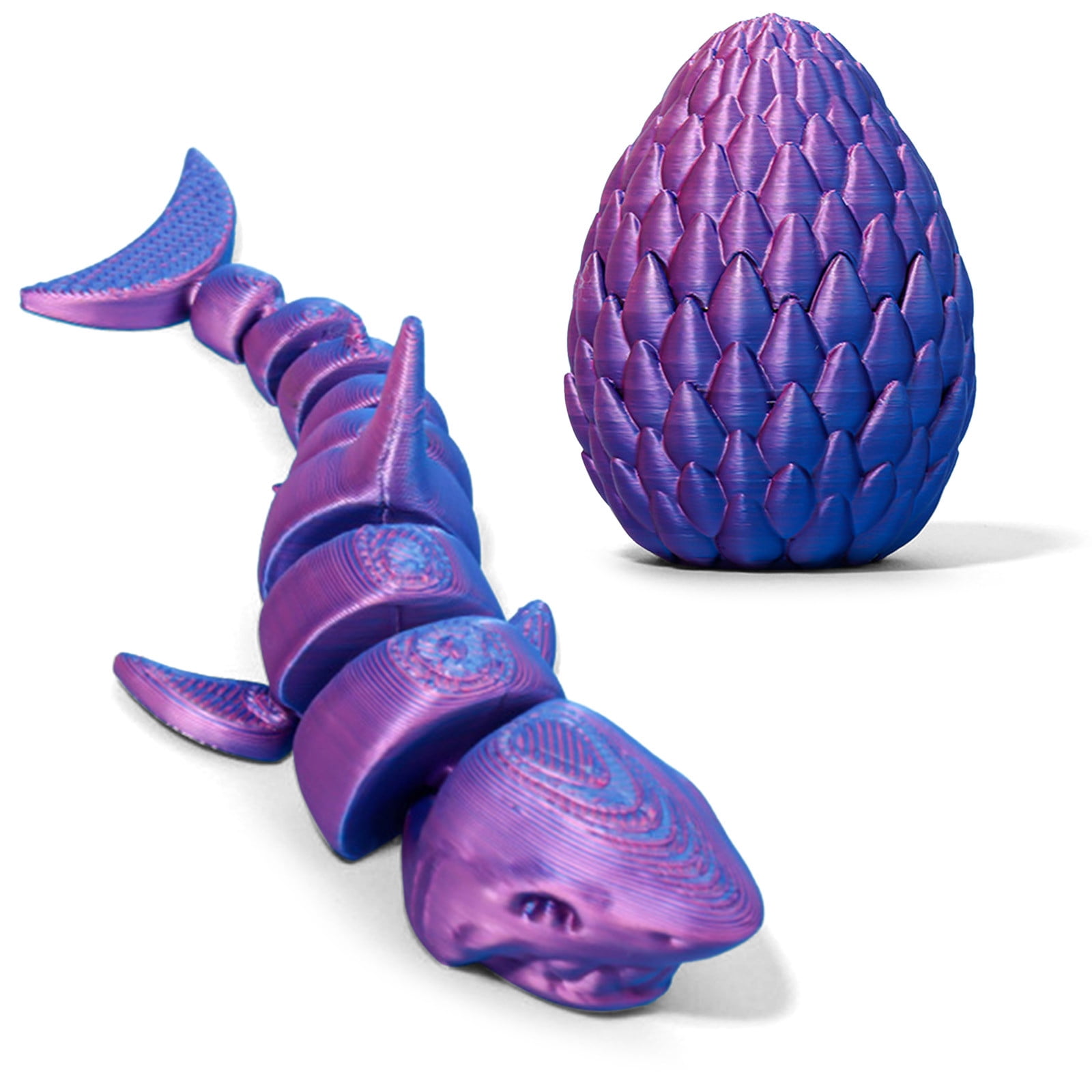 Shark Model with Movable Jaw and Egg for Educational Display, 3D ...