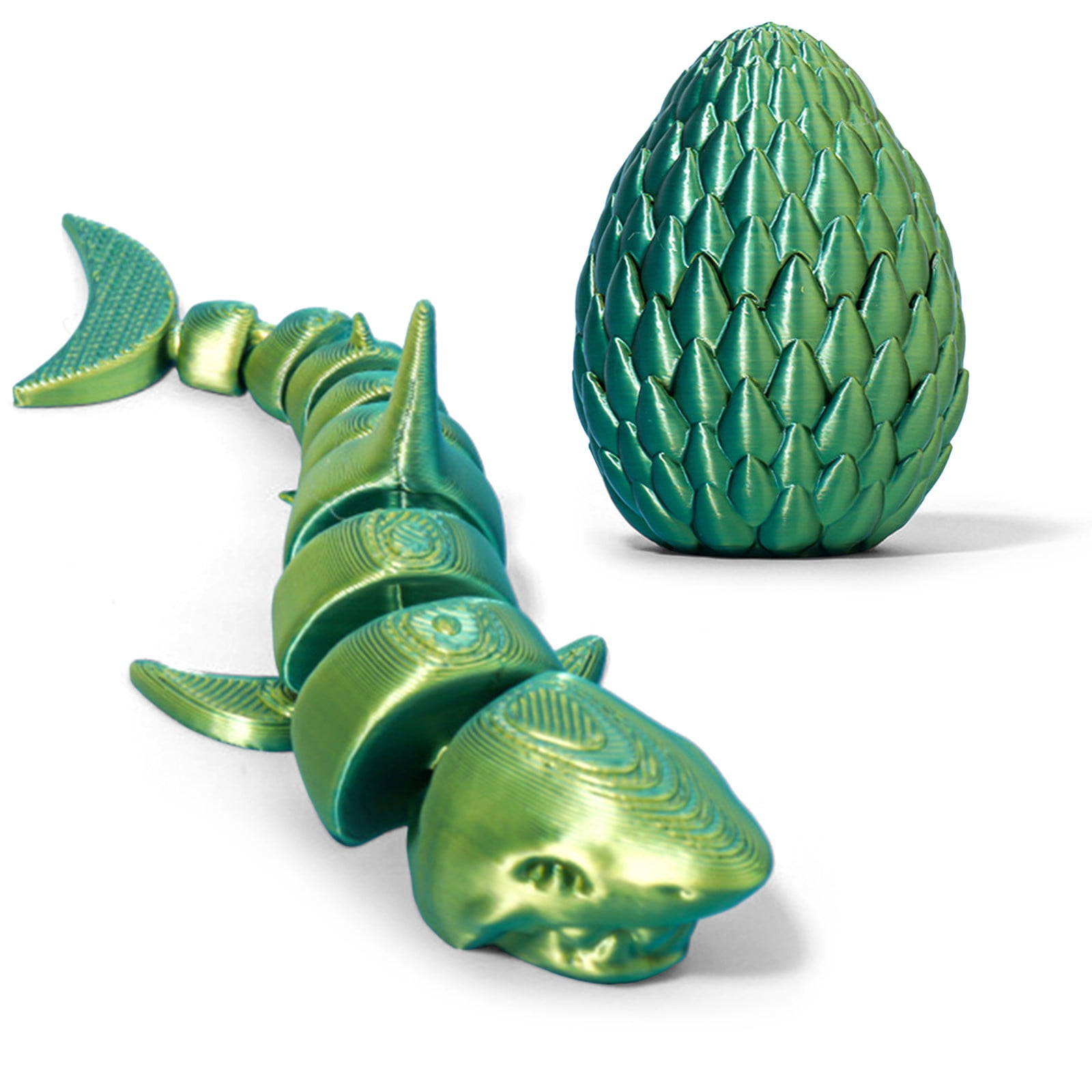 Shark Model with Movable Jaw and Egg for Educational Display, 3D ...