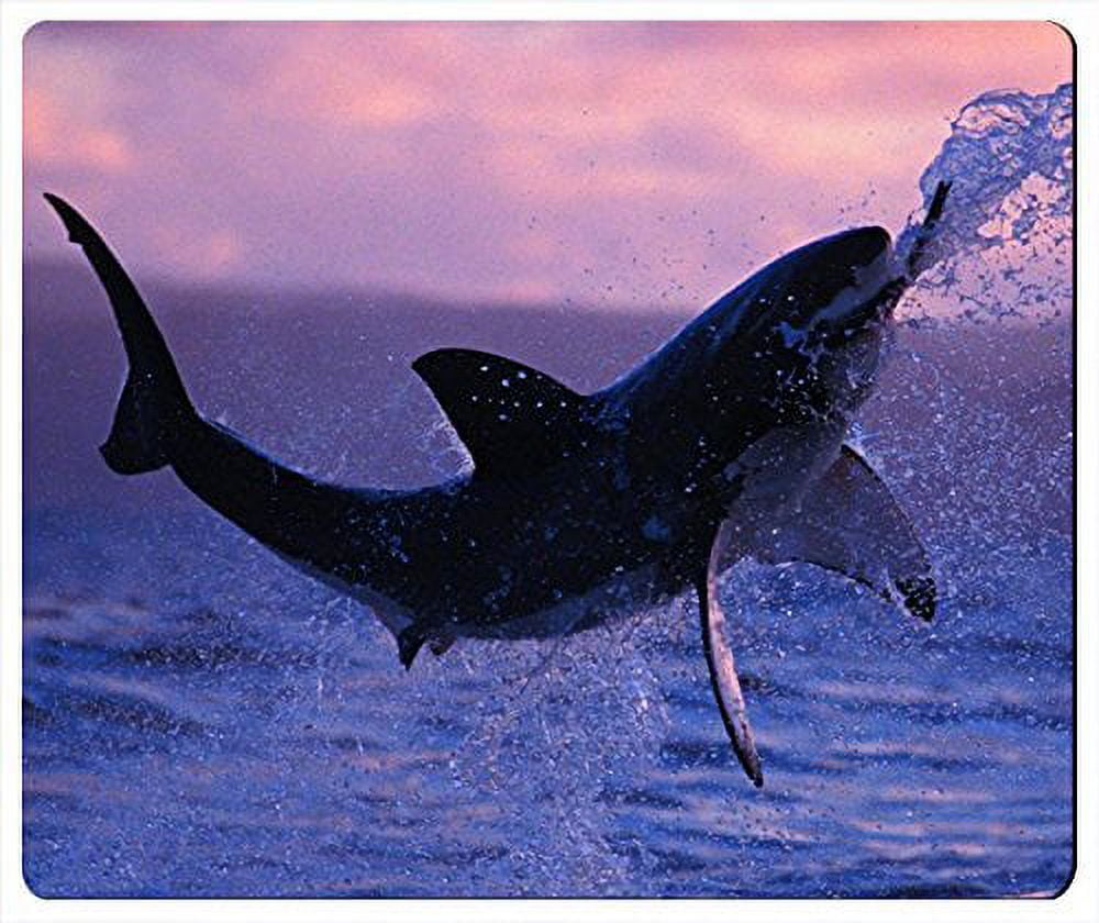 Shark Mouse pads Gaming Mouse Pad 9.84x7.87 inches - Walmart.com