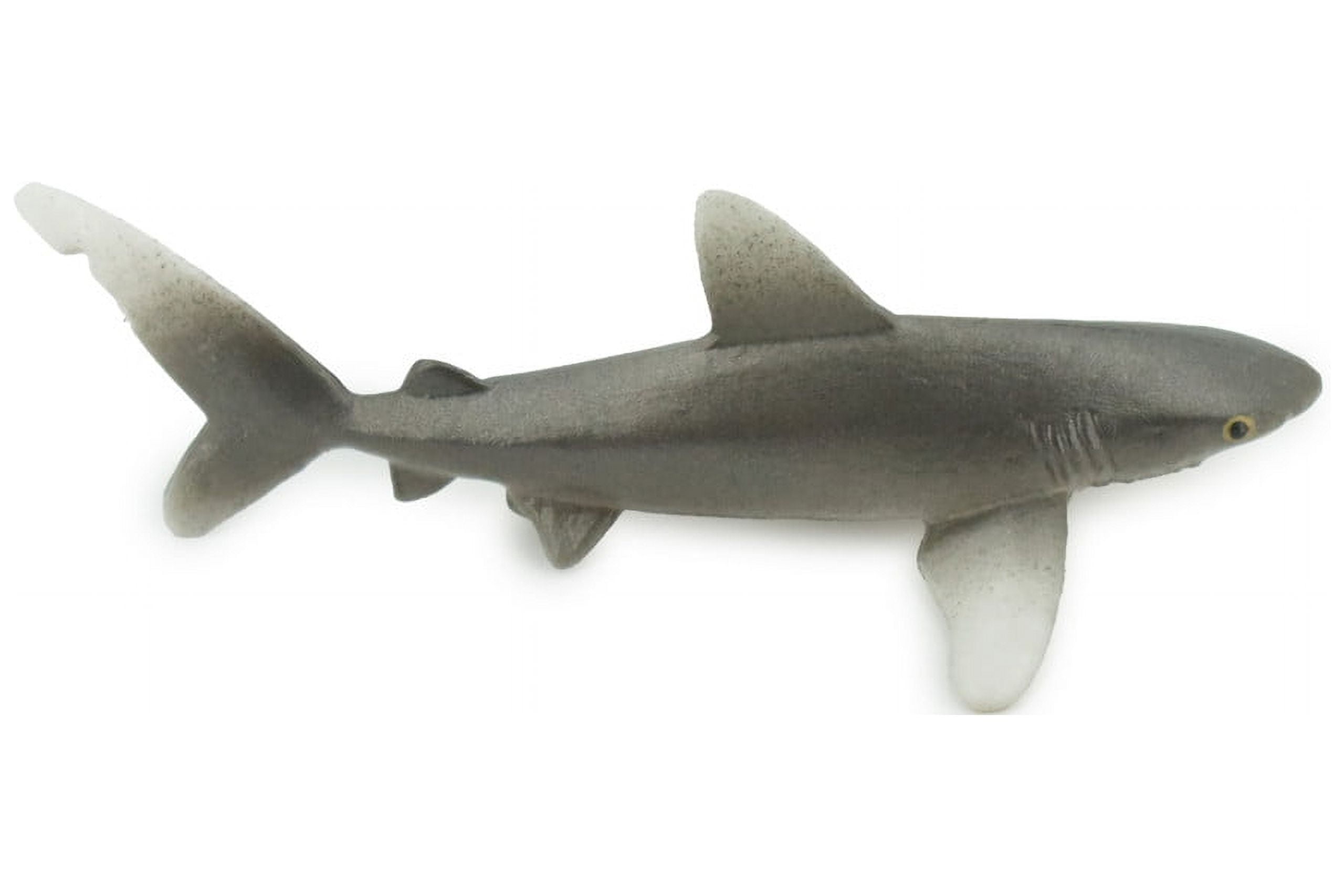 Shark, Oceanic Whitetip Shark, High Quality, Hand Painted, Rubber ...