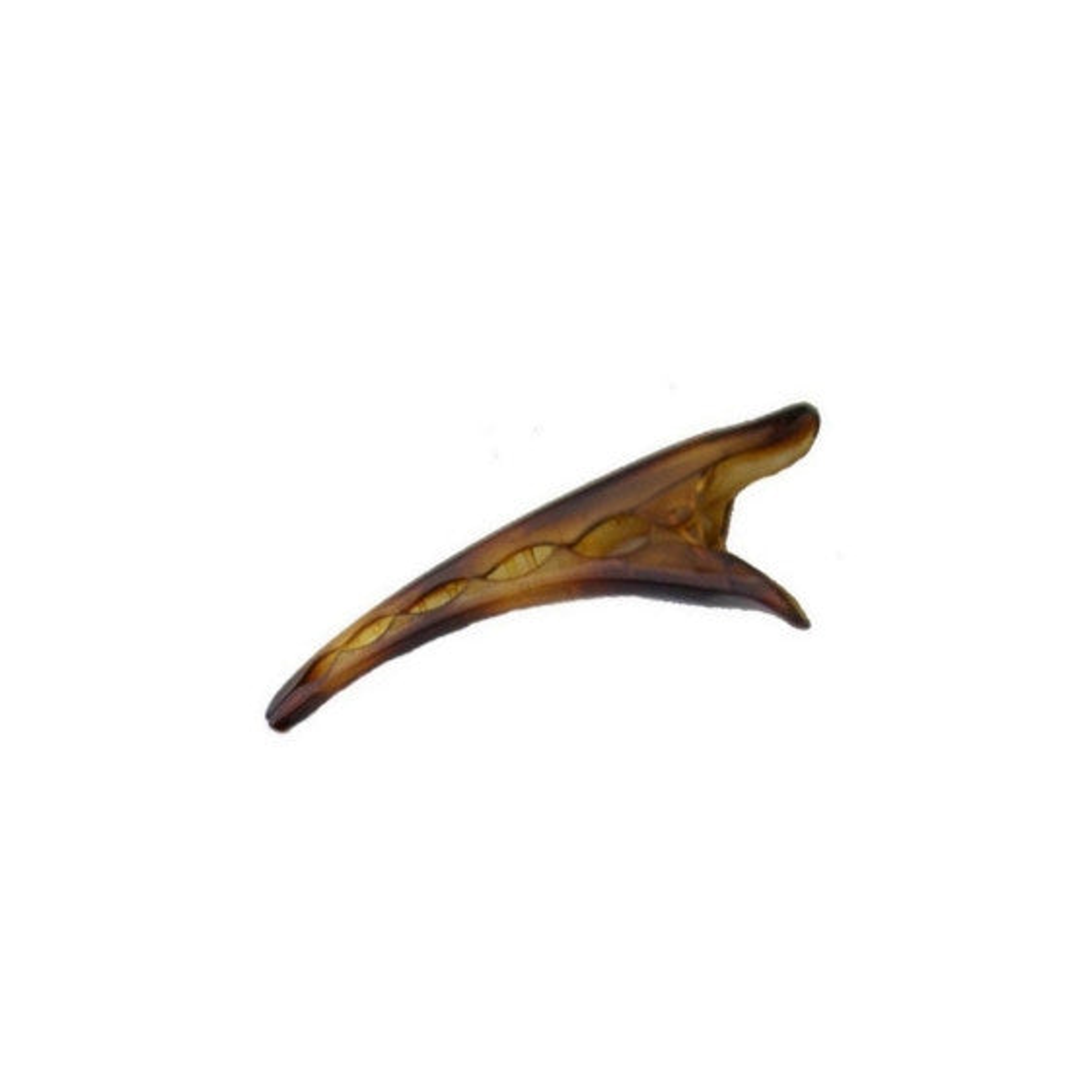 Shark Salon Concord Beak Tortoise Shell[ ] - Walmart.com